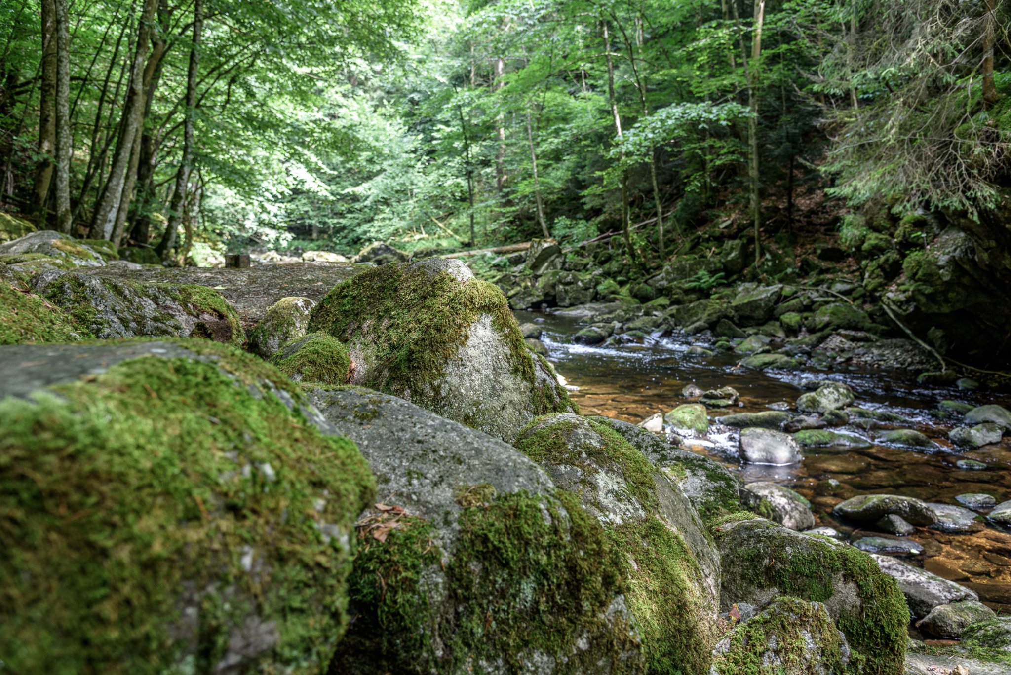 vhs-Fotoexkursion: Buchberger Leithe